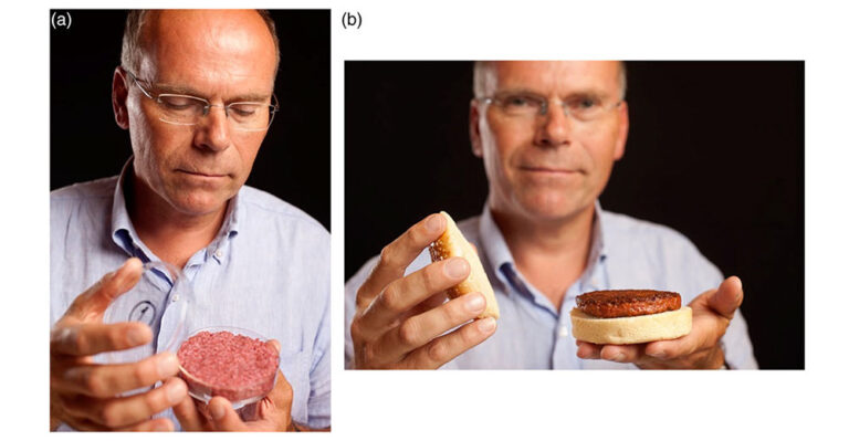 History of cultivated meat - Cultivated Knowledge